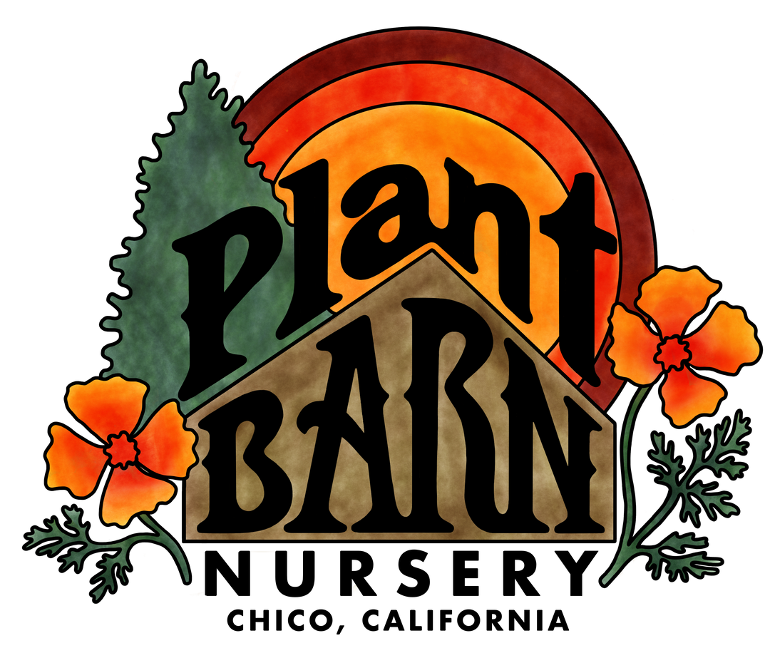 Hours – The Plant Barn & Gifts